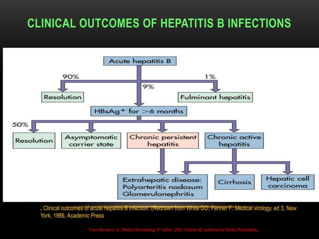 Hepatitis B Infection; Diagnosis and Interpretation.pdf