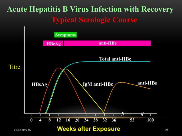 Hepatitis B Infection; Diagnosis and Interpretation.pdf
