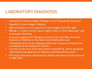 Hepatitis B infection | PPT