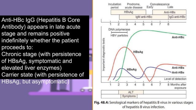 HEPATITIS B micro.pptx AND ITS APPLICATION | PPT