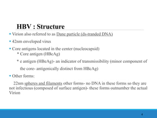 Hepatitis B | PPTX