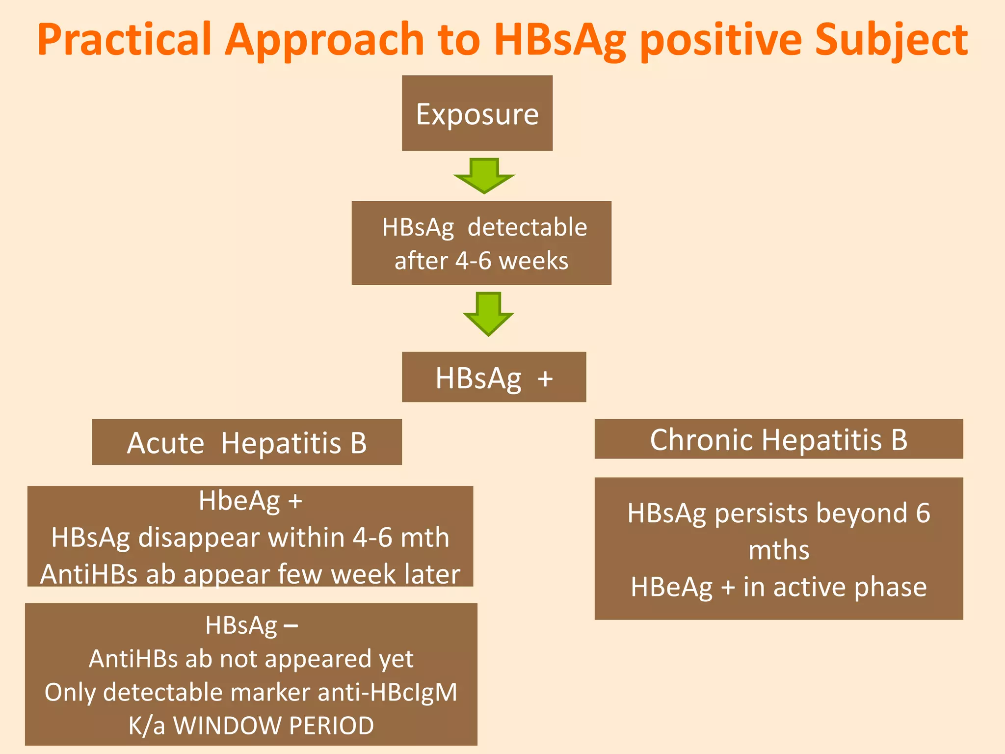 Hepatitis B prophylaxis and tratment ppt | PPTX