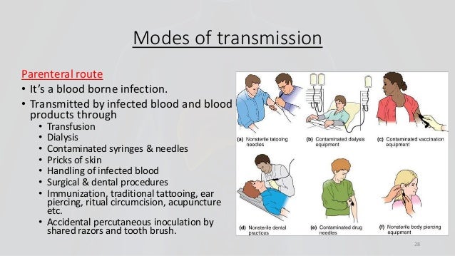 Hepatitis B, Viral Hepatitis