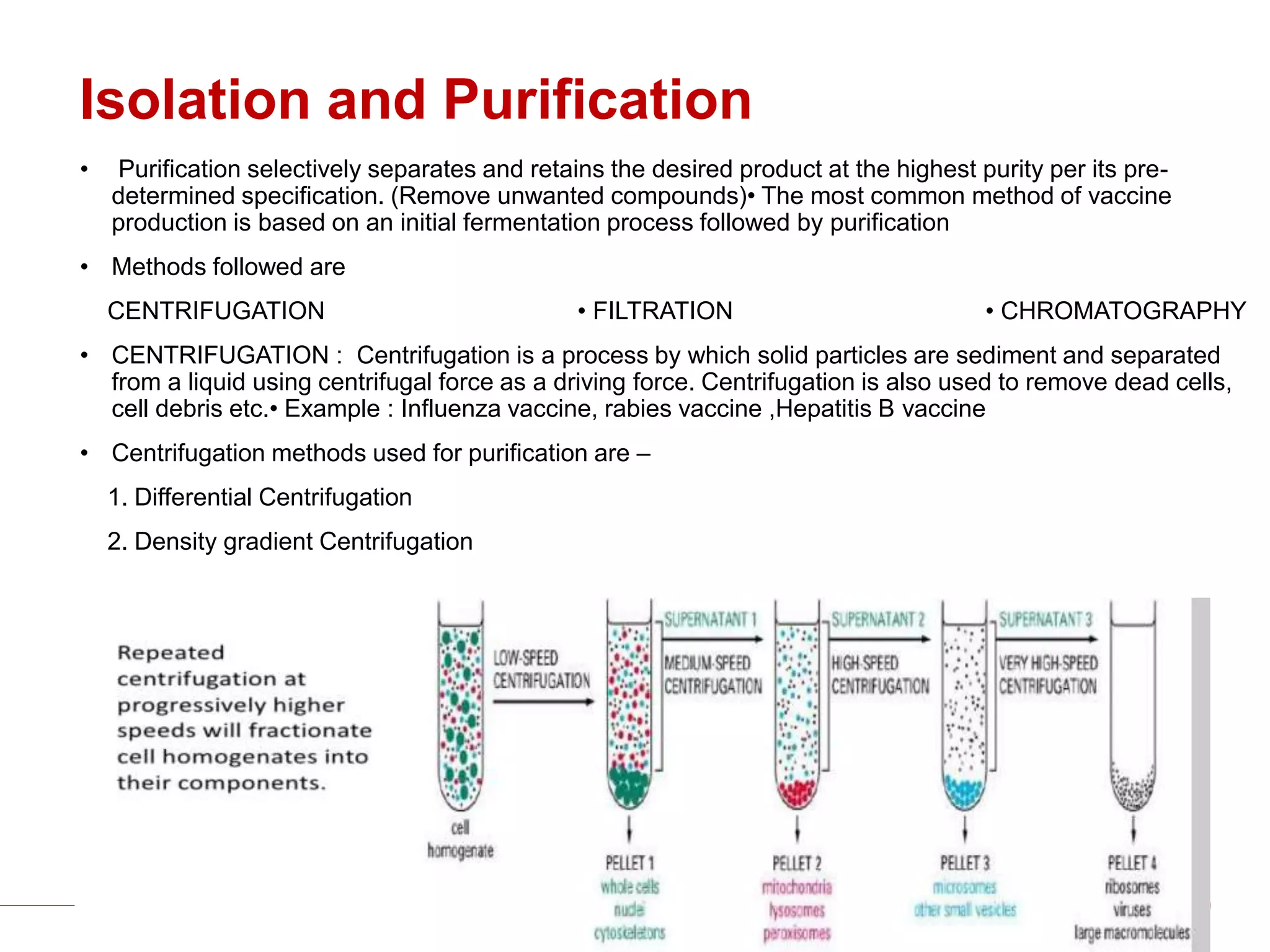 hepatitis B vaccine.pptx