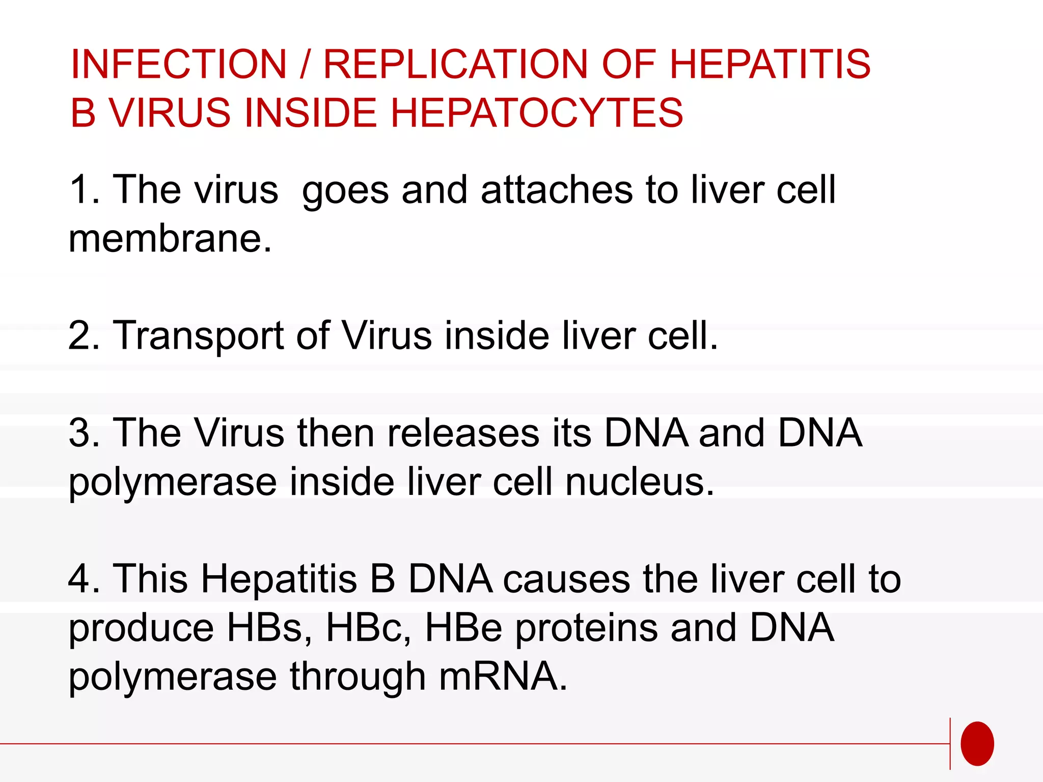 hepatitis B vaccine.pptx