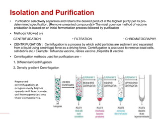 hepatitis B vaccine.pptx