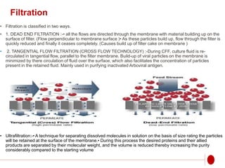 hepatitis B vaccine.pptx