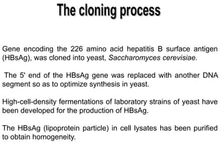 Hepatitis B Vaccine production.ppt