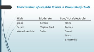 Hepatitis b virus | PPT