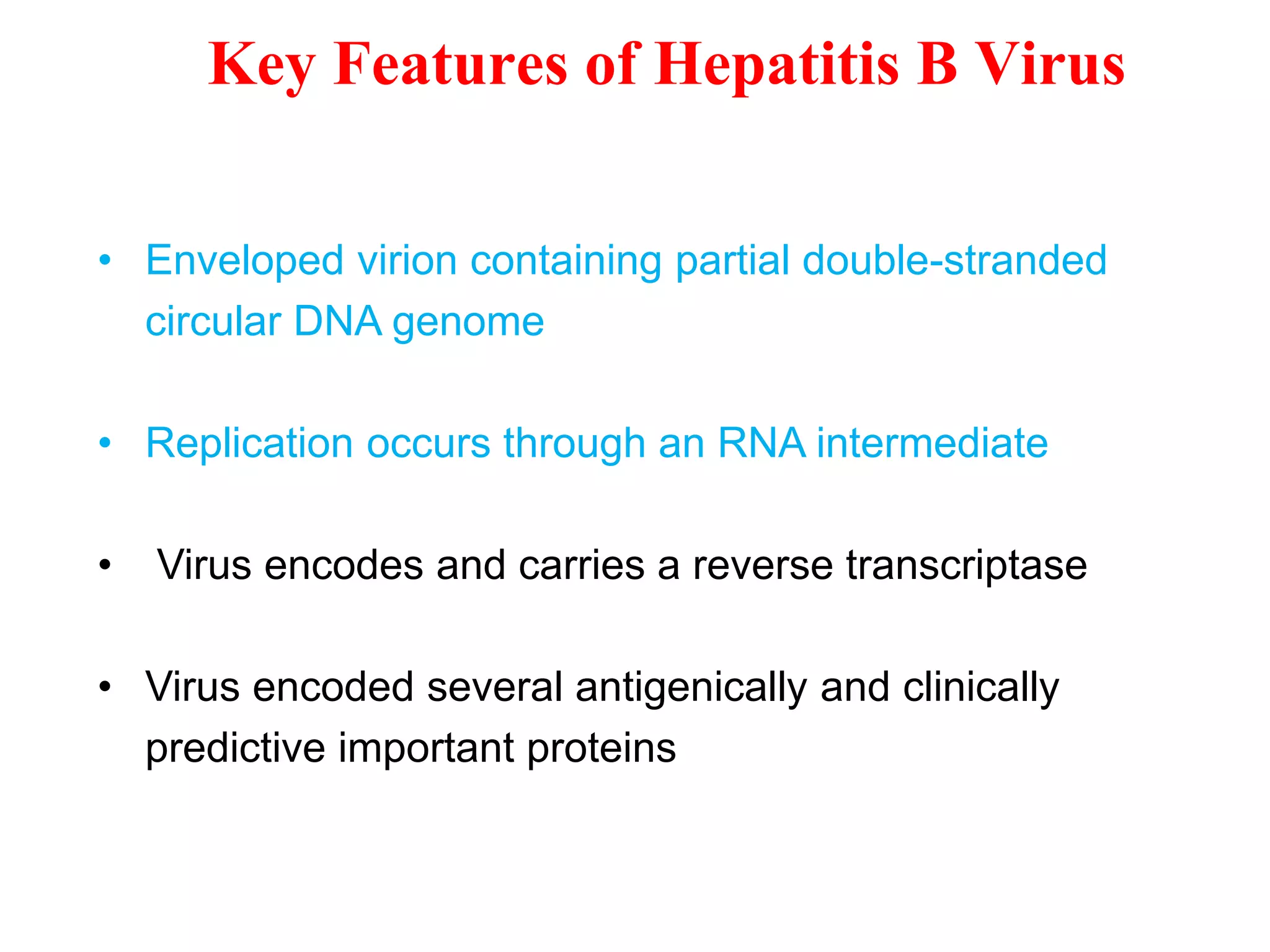 Hepatitis B virus.ppt