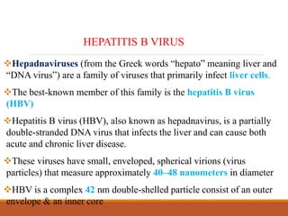Hepatitis B Virus.ppt Manoj Mahato Micro | PPT