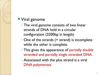 Hepatitis b virus general virology and laboratory diagnosis | PPT