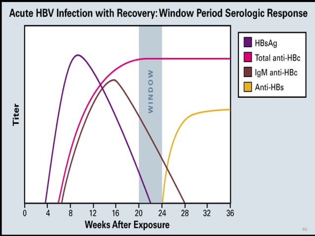 Hepatitis b virus general virology and laboratory diagnosis | PPT