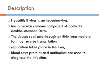 Hepatitis b virus (hbv) | PPTX