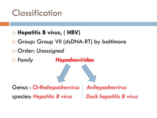Hepatitis b virus (hbv) | PPTX
