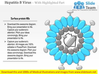 Hepatitis b virus medical images for power point | PPT