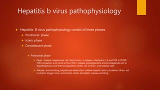 Hepatitis b virus replication and pathophysiology full.pptx