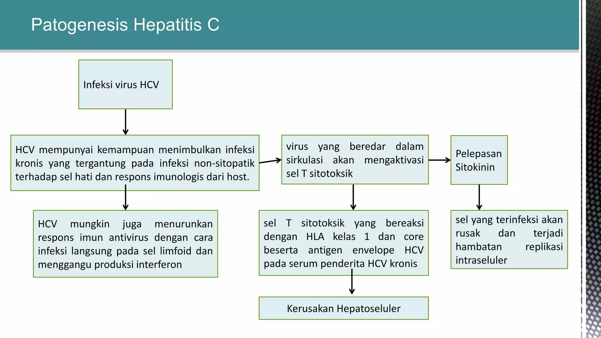 Hepatitis_C.pptx