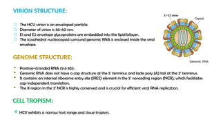 HEPATITIS C: STRUCTURE, GENOME, PATHOGENESIS, DIAGNOSIS, PREVENTION AND ...