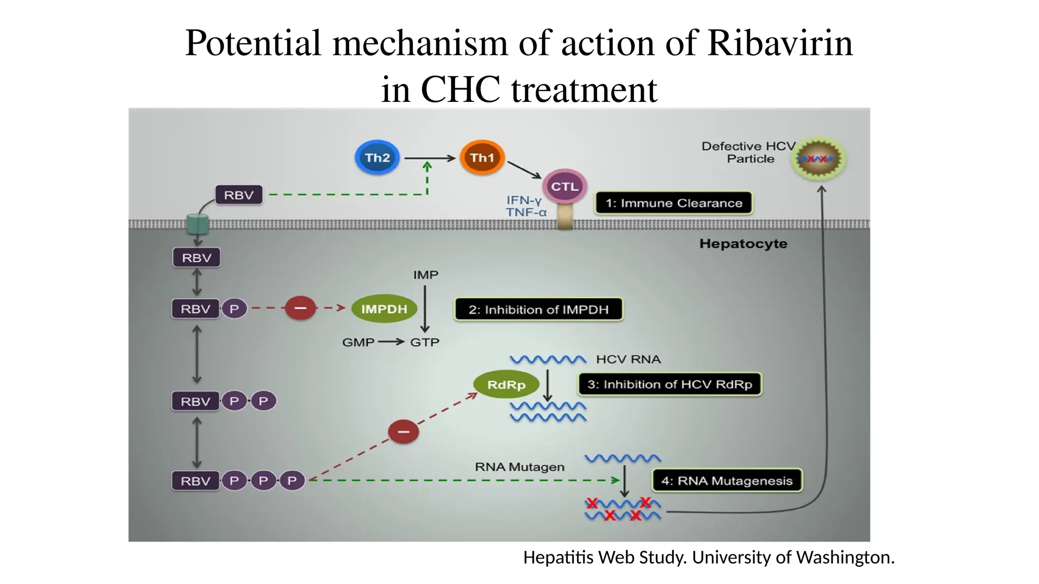 Hepatitis C approach and management.pptx