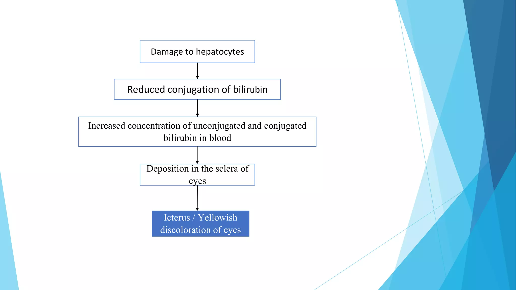 Hepatitis case scenario.pptx
