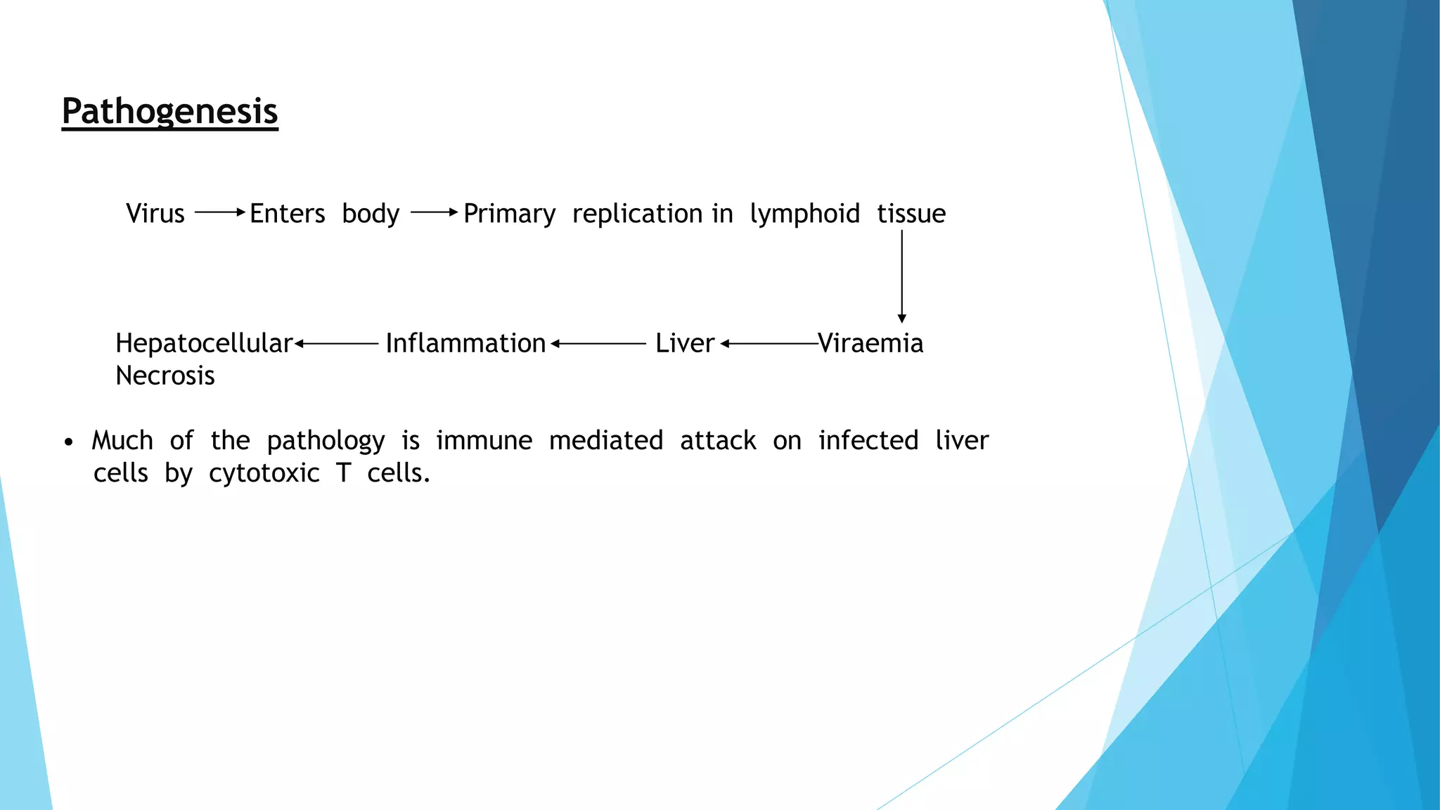 Hepatitis case scenario.pptx