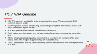 Hepatitis C (HCV).pptx