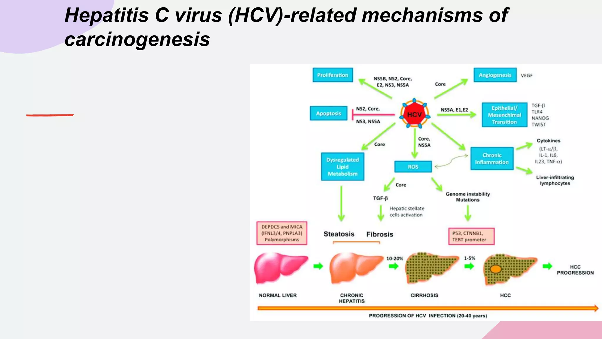 Hepatitis C (HCV).pptx | Free Download