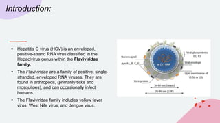 Hepatitis C (HCV).pptx | Free Download