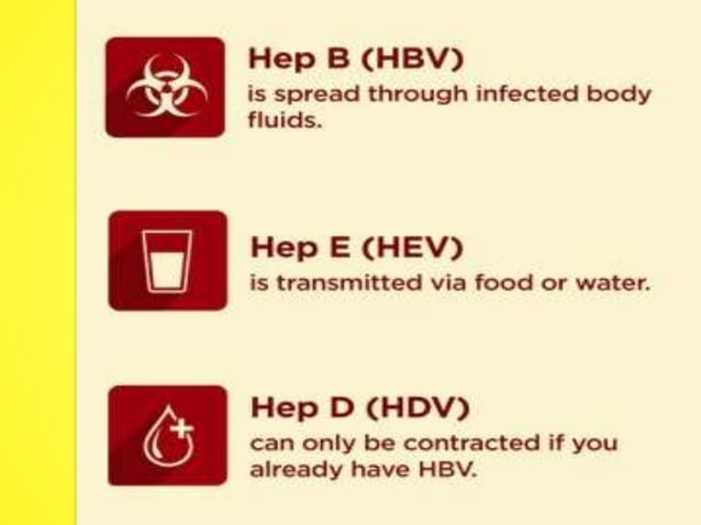 Hepatitis C Treatments _ There is No Vaccination for Hep C | PPTX