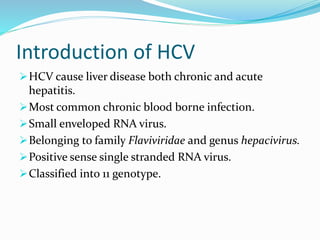 Hepatitis C Virus (HCV) | PPTX | Infectious Diseases | Diseases and ...