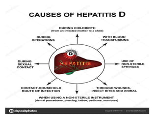 HEPATITIS D | PPTX
