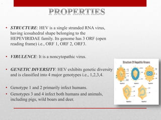 Hepatitis e virus virology presentations | PPTX | Infectious Diseases ...