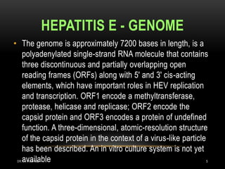 Hepatitis E infection | PPTX
