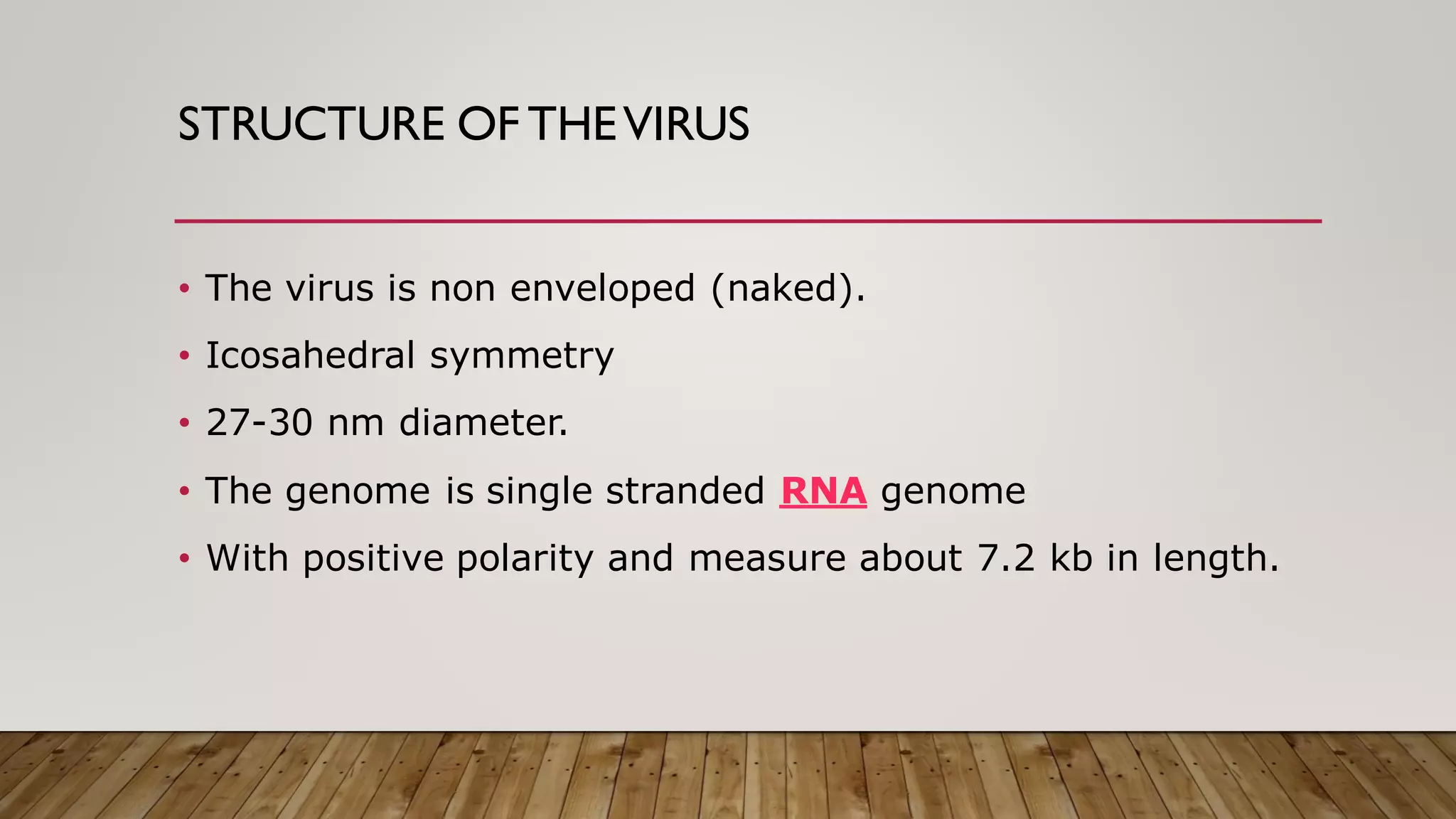 Hepatitis e virus | PDF