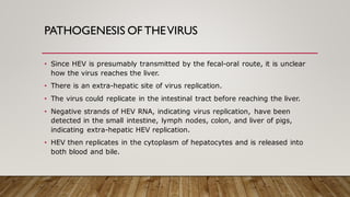Hepatitis e virus | PPT