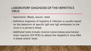 Hepatitis e virus | PDF