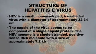 Hepatitis e virus an overview | PPTX | Infectious Diseases | Diseases ...