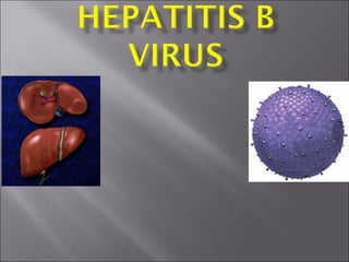 what is Hepatitis B Virus ( HBV) | PPT
