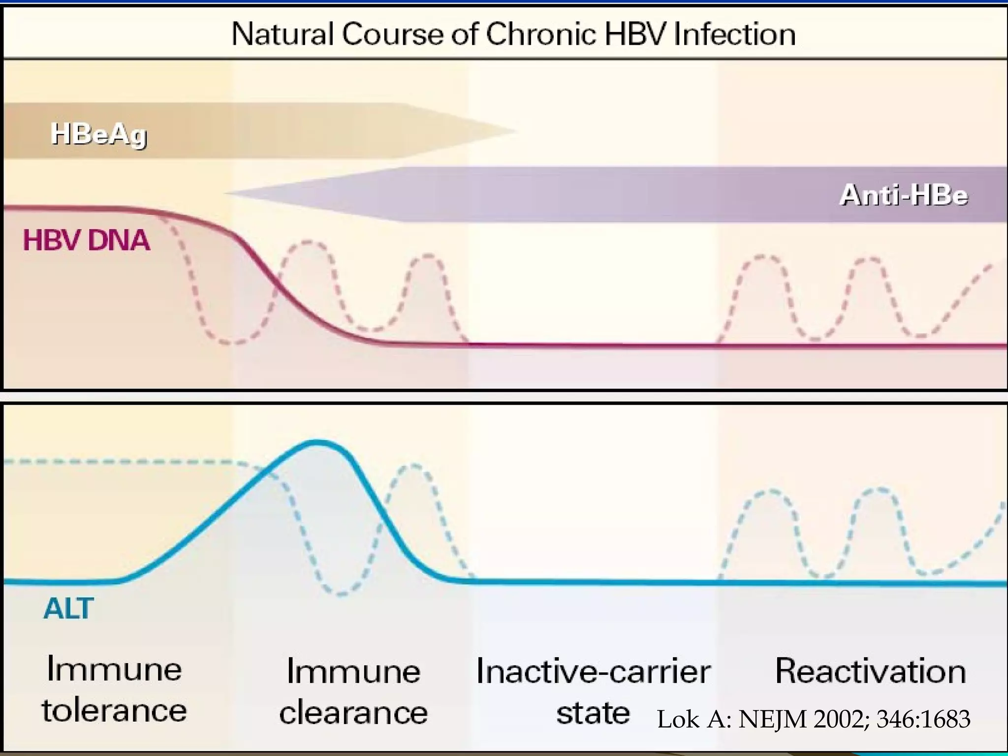 Hepatitis & Hepatocellular Carcinoma | PPT | Blood Disorders | Diseases and Conditions