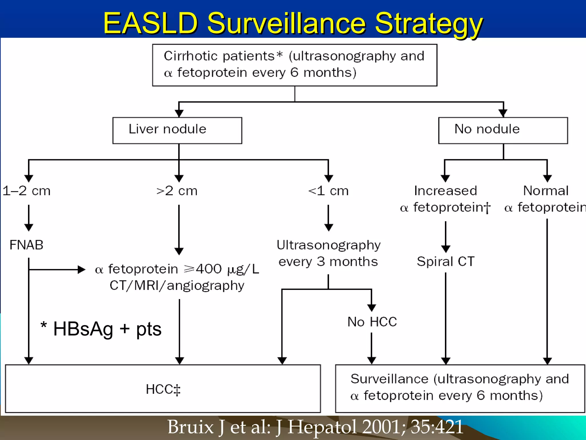 Hepatitis & Hepatocellular Carcinoma | PPT