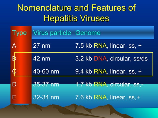 Hepatitis & Hepatocellular Carcinoma | PPT