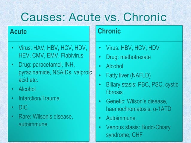 Hepatitis Acute versus Chronic Causes Pathophysiology.pdf