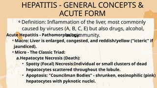 Hepatitis Pathoanatomy ppt By - Amrita Joshi 2.pptx