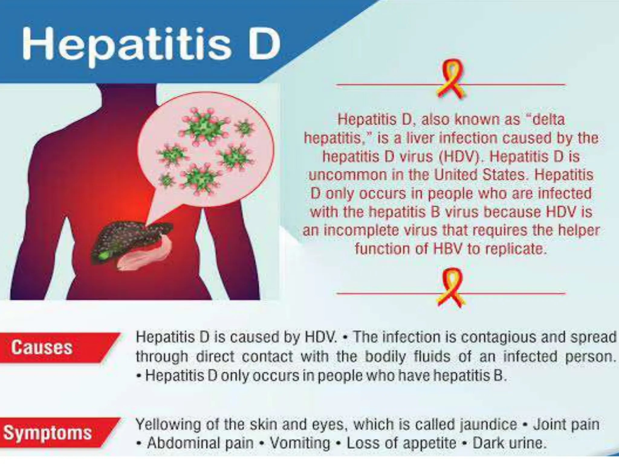 Hepatitis Pooja &Toni ppt.pptx Bachelor Pharmacy 3rd semester unit 2nd ...