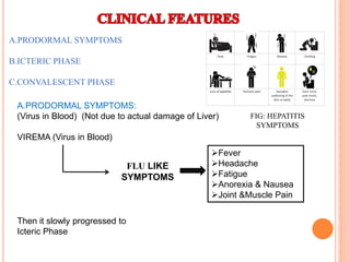 HEPATITIS POSTER.pptx