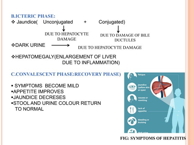 HEPATITIS POSTER.pptx | Infectious Diseases | Diseases and Conditions