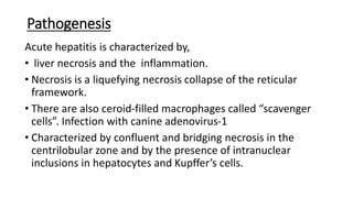 HEPATITIS PPT.pptx WITH GOOD EXPLANATION OF CHRONIC AS WELL AS ACUTE | PPTX
