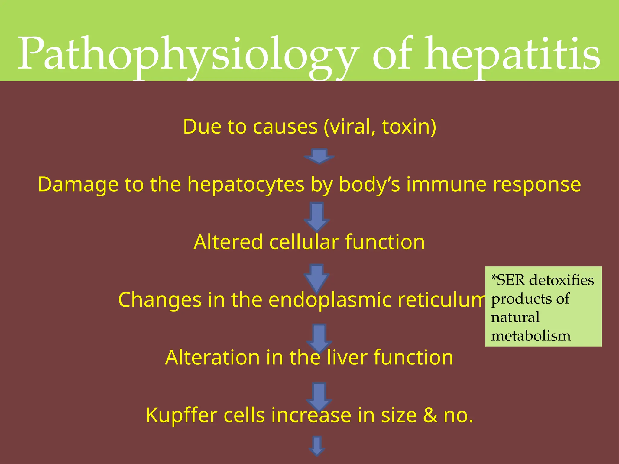 hepatitis ppt includes hepatitis in children- pathophysiology, signs ...