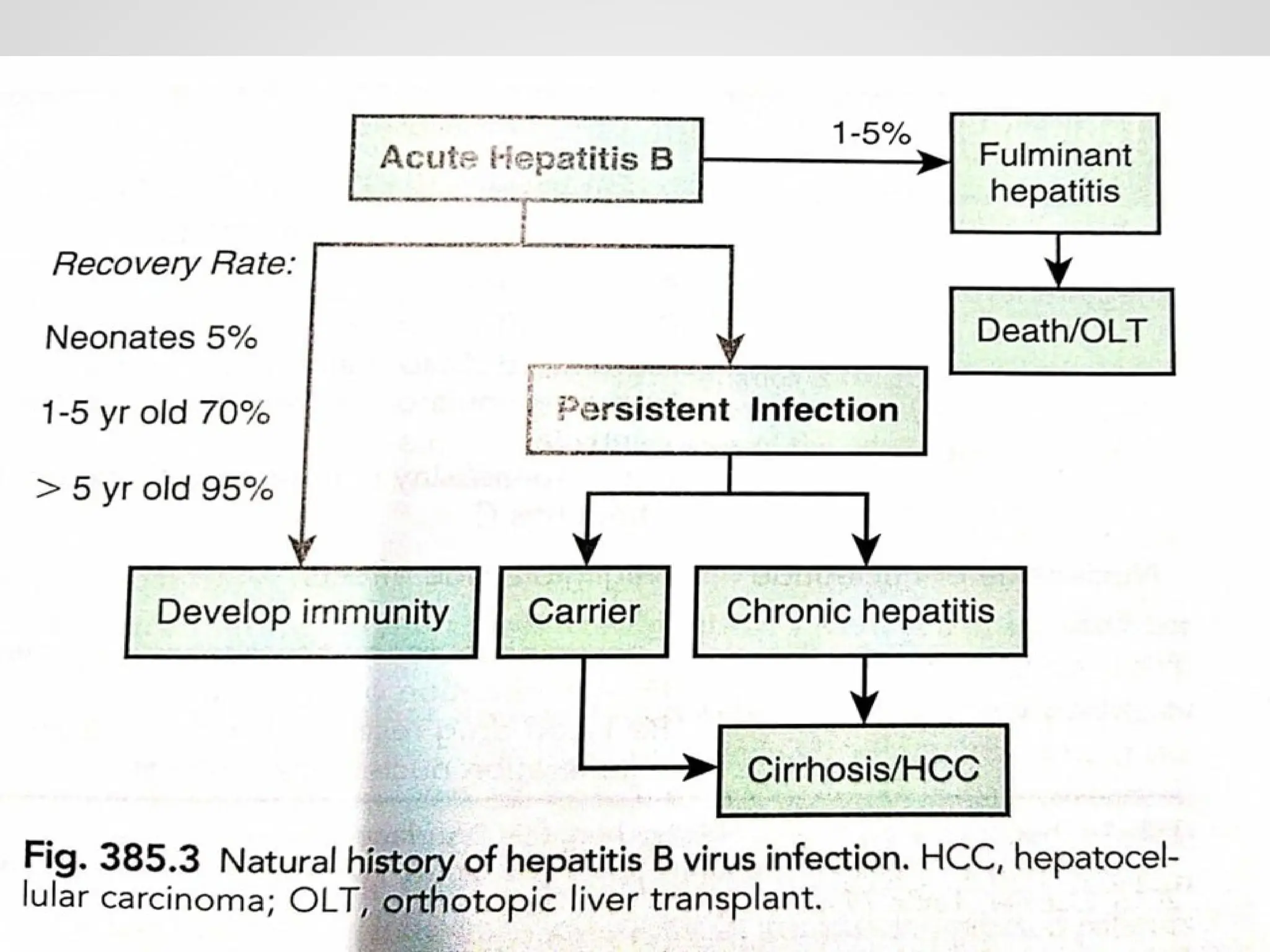 hepatitis ppt includes hepatitis in children- pathophysiology, signs ...